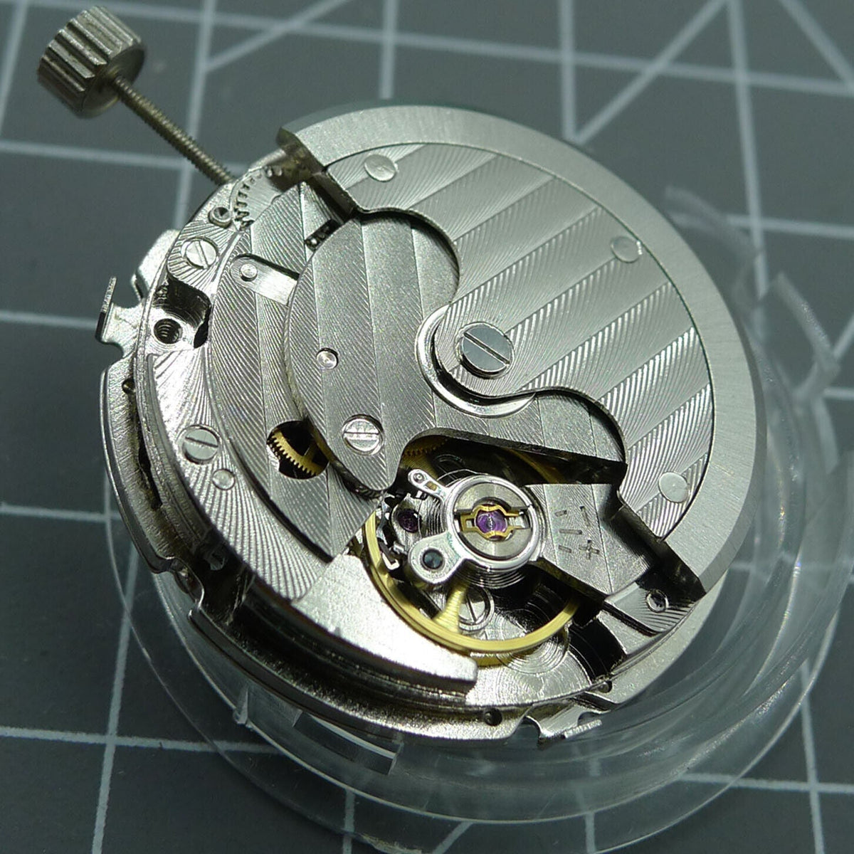 Seagull T16 Big Date Automatic Mechanical Movement Moon Phase: A Perfe ...