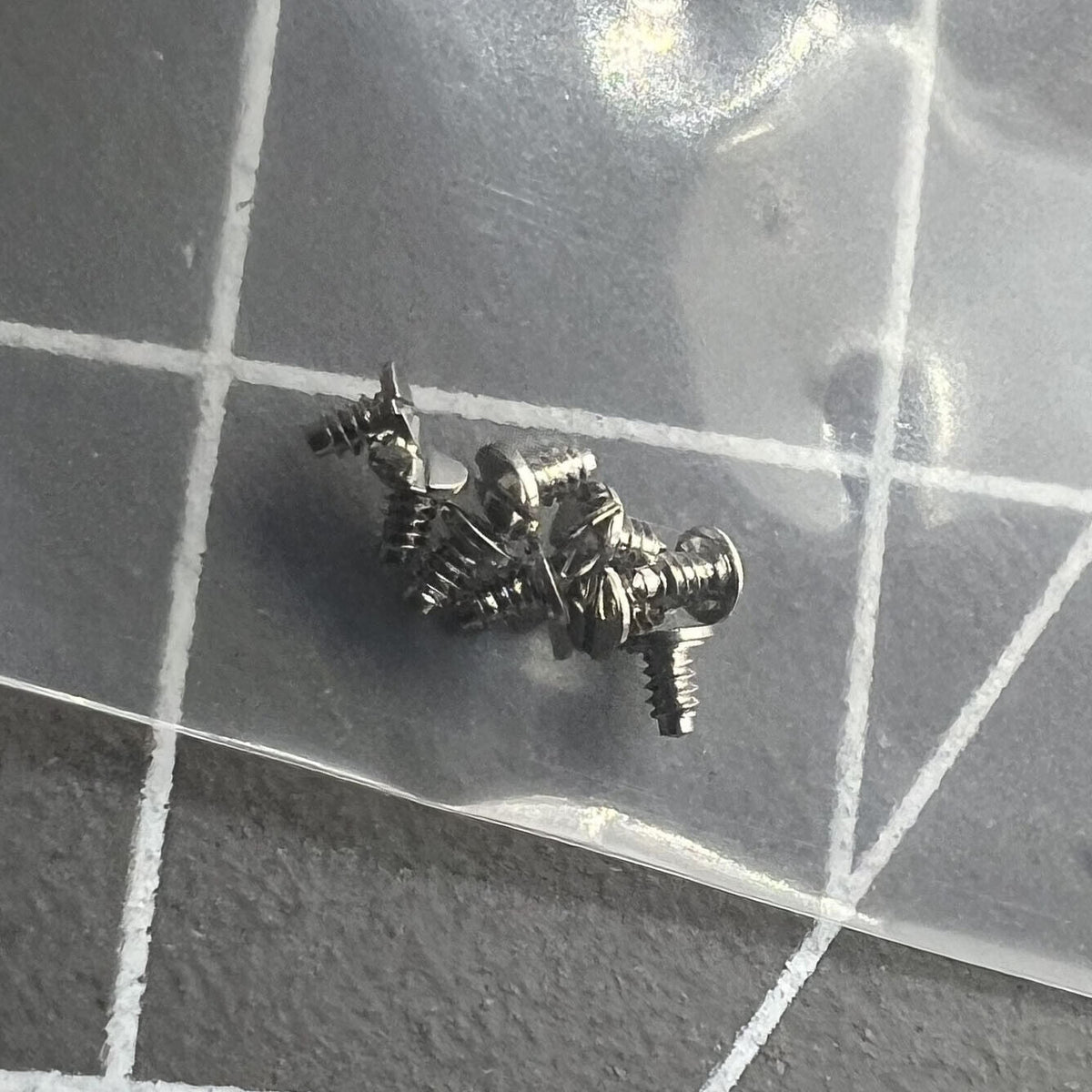 Intermediate Date Wheel Cover Screws for ETA Movements: Perfect for Yo ...