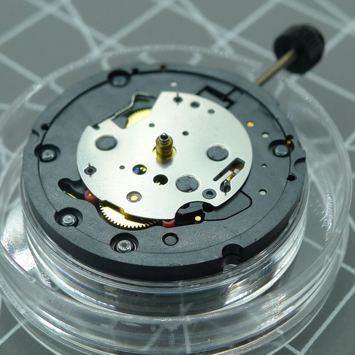 Swiss Made ETA G15.561 Quartz Movement: Precision and Reliability Rede ...