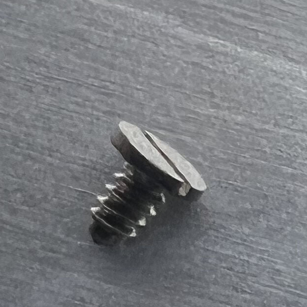 Upgrade Your Watch with Ratchet Wheel Screws for ETA Movements ...