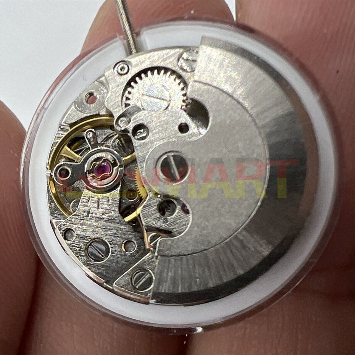 Seagull ST6 Lady Automatic Watch: A Perfect Blend of Elegance and Craf ...