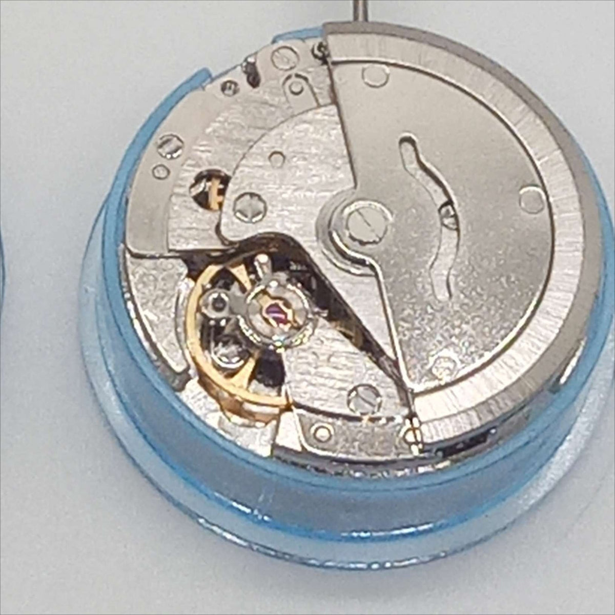 Seagull ST16 Mechanical Movement: The Elegant Choice for Discerning Wa ...