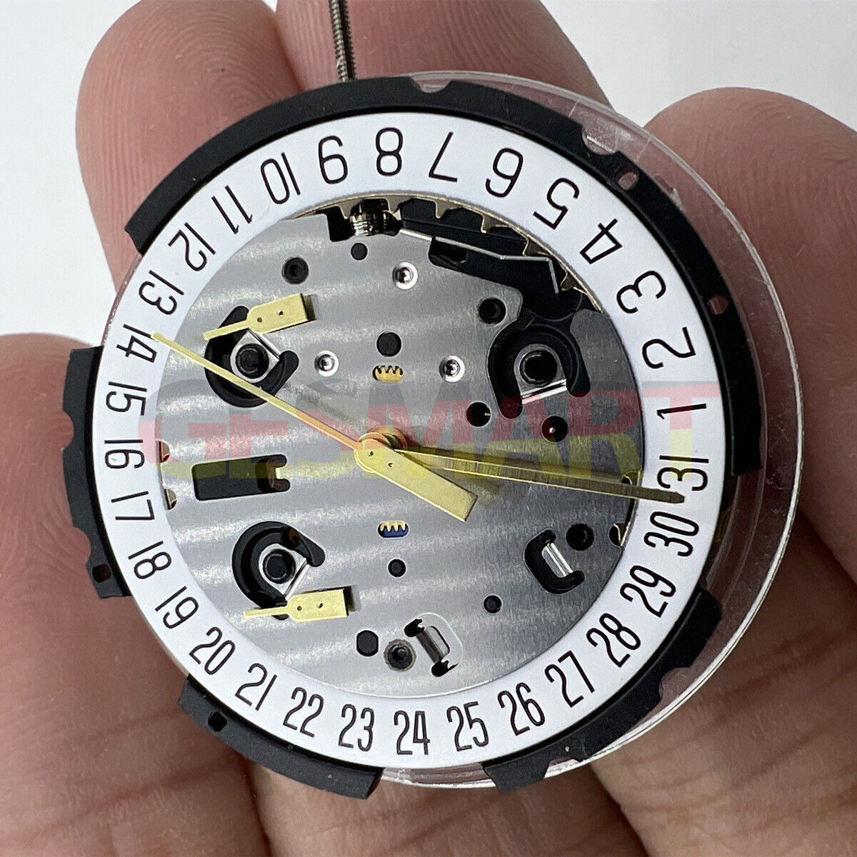 ETA G10.212 Watch: Precision and Elegance Combined – GE SMART LTD.